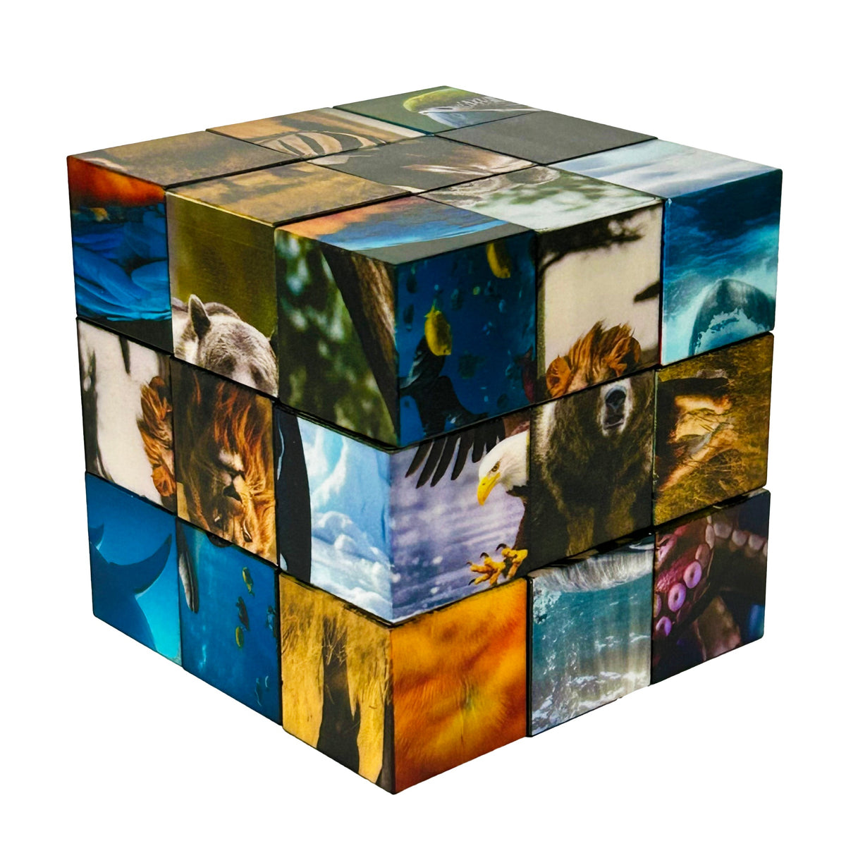 Click Blocks Animal — Learning Express Gifts